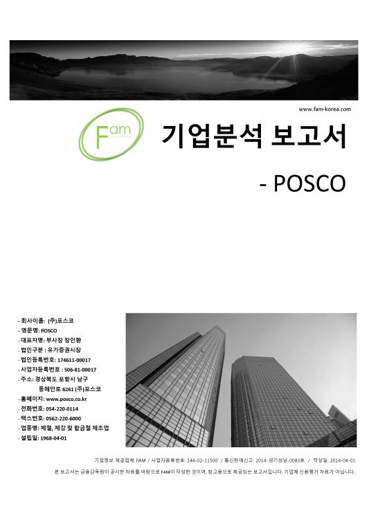 POSCO기업분석/POSCO재무분석(1994~2013)