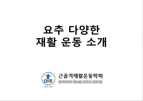 요추의 다양한 운동 방법 소개
