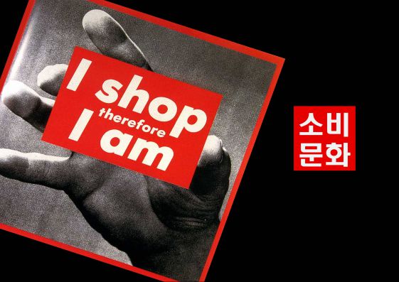 소비문화 레포트 자료