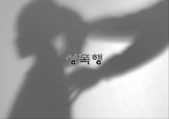 성폭행 레포트 자료