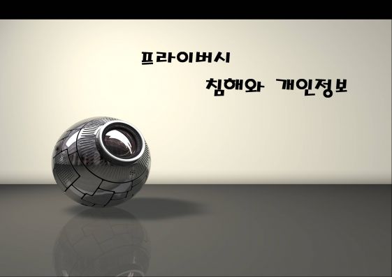 프라이버시 침해와 개인정보