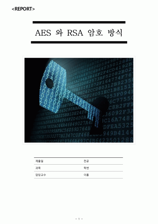 관용 알고리즘(AES) 과 공개키 알고리즘(RSA) 암호화 복호화 과정 및 설명
