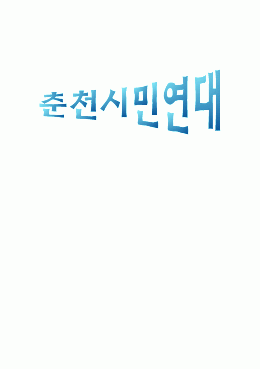 [NGO 분석] 춘천시민연대 분석 (춘천시민연대 설립배경, 조직구성, 활동내용,협력단체, 방문후기 )