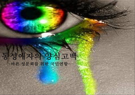 [사회과학] 바른 성문화를 위한 국민연합 분석 발표자료