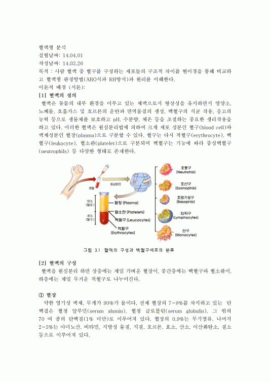 일반생물학 실험 - 혈액형분석 및 ABO혈액형 혈구세포 관찰 (동국대 생명 보고서)