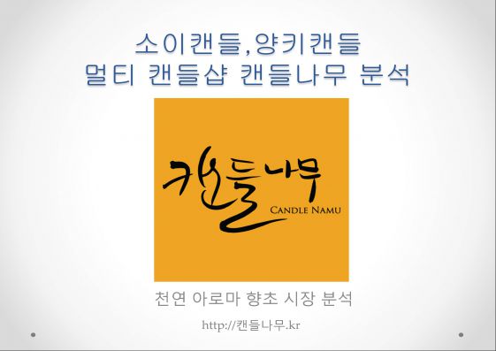 양키캔들,소이캔들 멀티 캔들샵 캔들나무 소자본 프랜차이즈 창업 분석
