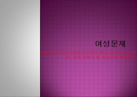 [여성문제 레포트] 여성문제의 개념, 여성문제의 이론, 실태 문제점 및 여성문제 해결방안
