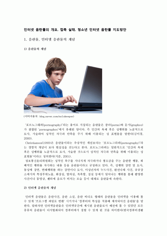[인터넷 음란물] 인터넷 음란물의 개요, 접촉 실태, 인터넷 음란물 지도방안