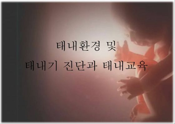 [태내기] 태내 환경, 태내기 진단(유전상담, 초음파, 융모, 양수검사등), 태내기 교육(전통, 현대적), 태내기에 대한 견해