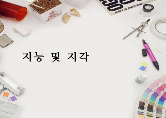 지능과 지각의 내부적, 외부적, 상황적 요인과 구조.pptx
