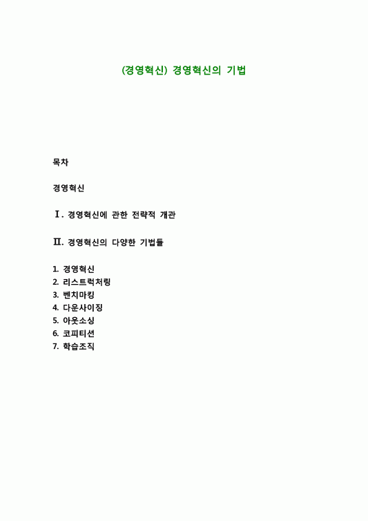 (경영혁신) 경영혁신의 기법 (경영혁신에 관한 전략적 개관, 경영혁신의 다양한 기법들)