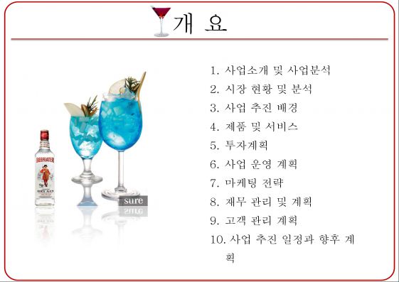 이동식 칵테일바 사업계획서 (사업분석, 시장 현황 및 분석, 사업 추진 배경, 제품 및 서비스, 투자계획, 사업 운영 계획, 마케팅 전략, 재무 관리 및 계획, 고객 관리 계획, 사업 추진 일정과 향후 계획).pptx