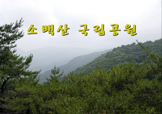 (관광) 소백산 국립공원 (이동경로 (부산~소백산), 소백산의 공원안내, , 탐방코스, 현지교통편, 전설 ∙ 설화, 주요관광자원(인문관광자원, 자연관광자원), 행사 ∙ 축제, 관광객 추이, 개선).ppt