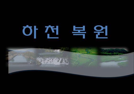 하천복원 레포트 자료