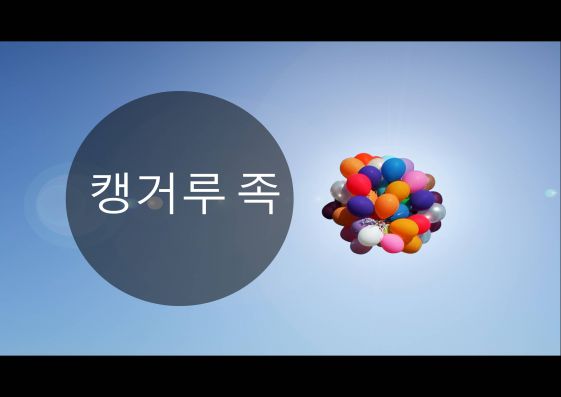 [캥거루족] 캥거루족의 정의, 캥거루족 특징, 캥거루족 원인, 캥거루족 문제점, 캥거루족 해결방안