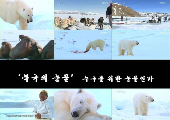지구 온난화의 원인, 문제점,국제기구, 각 나라의 입장과 전망 및 제언
