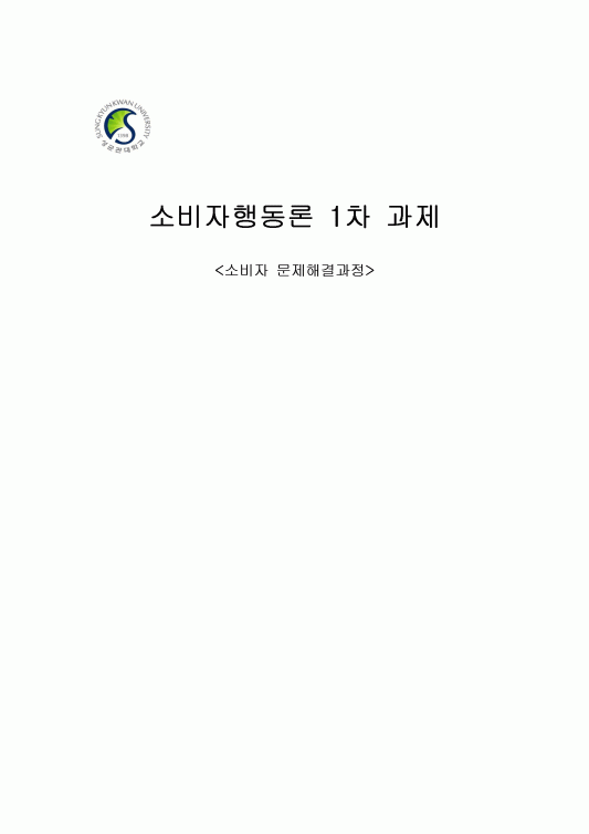 소비자행동론 2차 과제 소비자 문제해결 과정