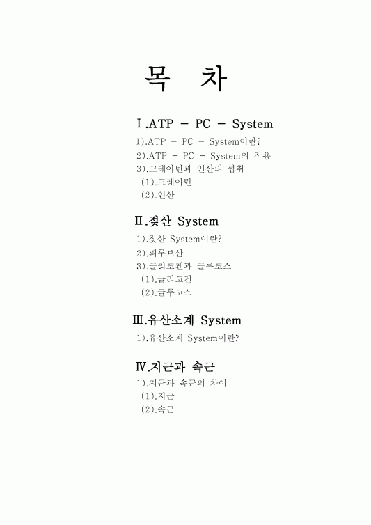 에너지시스템  레포트