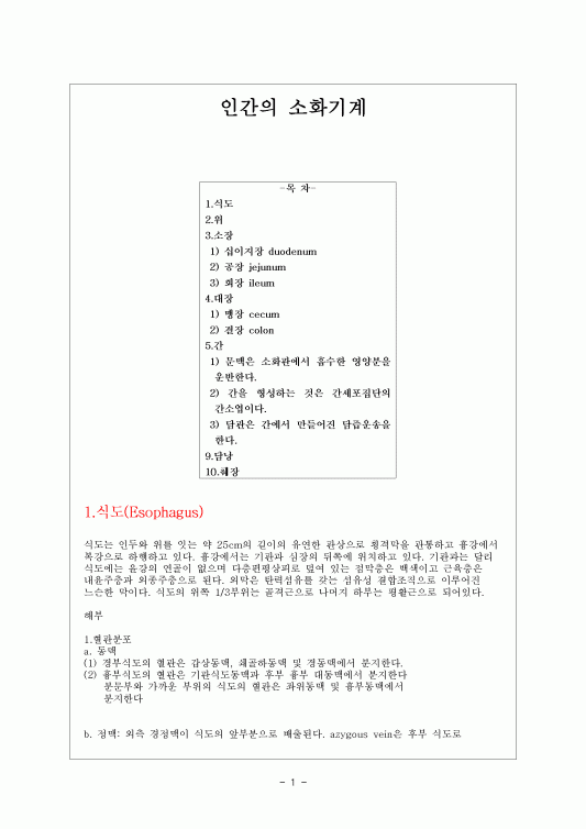 인간의 소화기계/제주대학교/동물조직학 과제