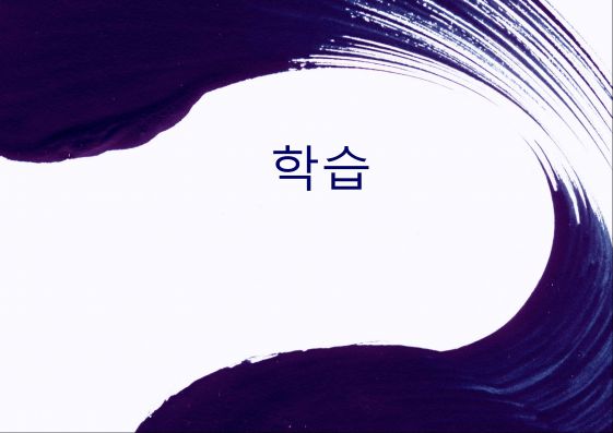 학습이론에 대한ppt