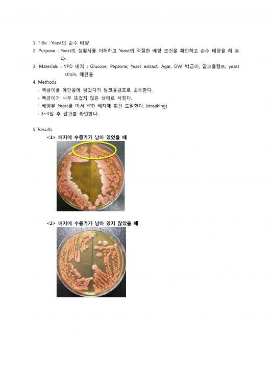 생물학 실험 -동물의 발생