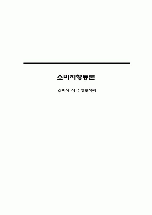 [소비자행동론_소비자 지각 정보처리]비타민워터 마케팅사례,현대자동차와 폭스바겐 마케팅전략,브랜드마케팅,서비스마케팅,글로벌경영,사례분석,swot,stp,4p