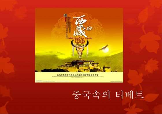 티베트- 역사와 문화,티베트의 중국귀속 배경,중국 vs 티베트 대응