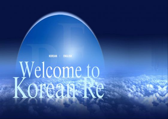 국내 재보험 시장-재보험 시장의 변화,세계 재보험 시장,해외 재보험 업계의 동향,재보험사의 활성화  방안
