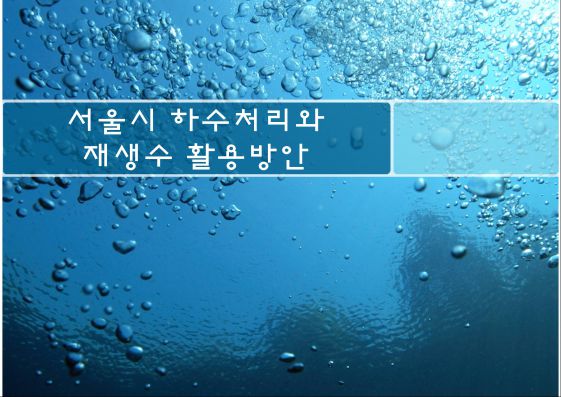 재생수 활용방안-서울시 하수처리 현황,재생수 이용계획(국내 및 해외)
