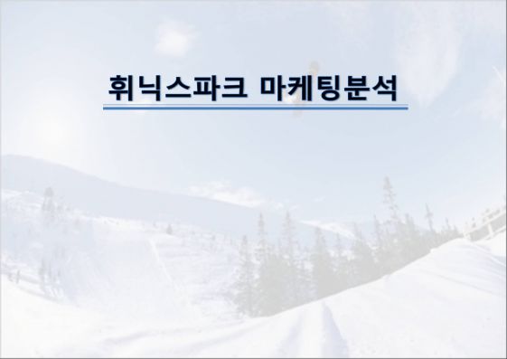 휘닉스파크 마케팅분석-휘닉스 파크(Phoenix Park)기업분석,브랜드마케팅,서비스마케팅,글로벌경영,사례분석,swot,stp,4p