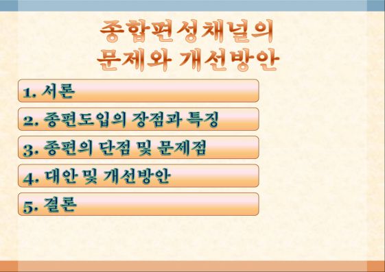 종편의 문제와 개선 방안