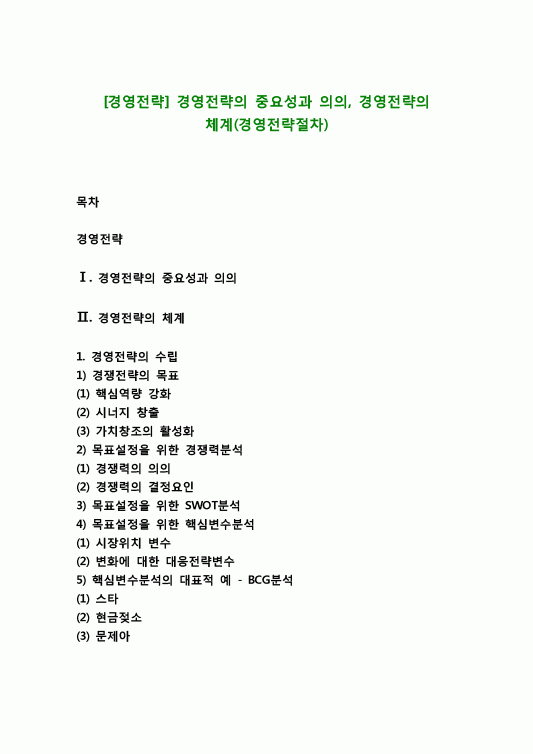 [경영전략] 경영전략의 중요성과 의의, 경영전략의 체계, 경영전략의 수립, 경영전략의 지향, 경영전략의 수준, 전략목표의 설정, 경영전략의 실행, 경영전략의 평가, 전략담당자의 요건, 경영전략의 효과