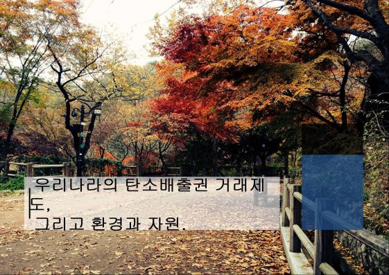 탄소배출권거래제도,우리나라의 탄소배출권 거래제도, 탄소 거래소, 환경 경제학, 환경부, 기획재정부, 유엔 기후 변화 협약, 온실가스, 녹색기후기금, GCF, 녹색 에너지, 친환경, 교토의정