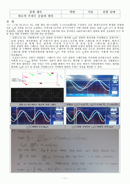 회로의 주파수 응답과 필터 결과 보고서