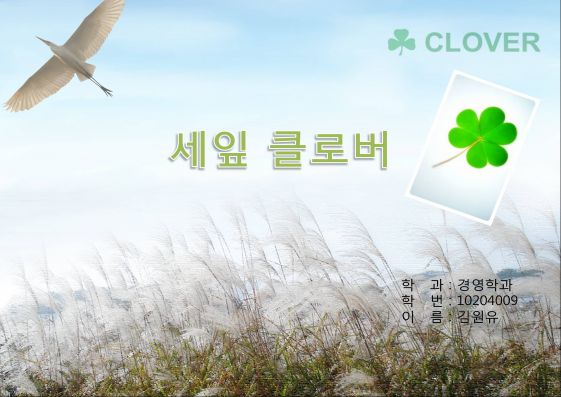 임의로 기업을 만들어 비젼, 목표, 로고, 슬로건을 설정