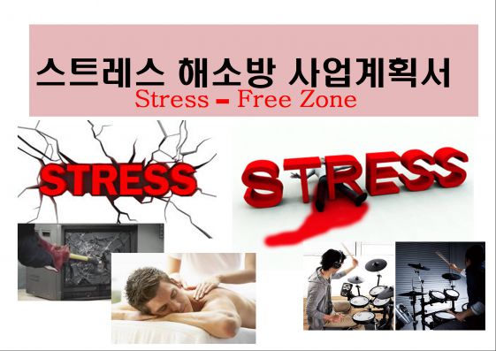 스트레스 해소방 사업계획서_사업계획서
