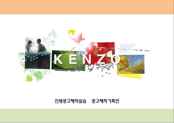 인쇄광고제작계획서,기획안