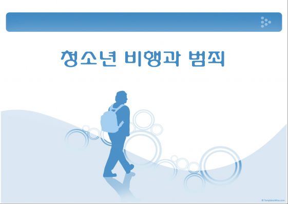 청소년 비행과 범죄 ppt자료
