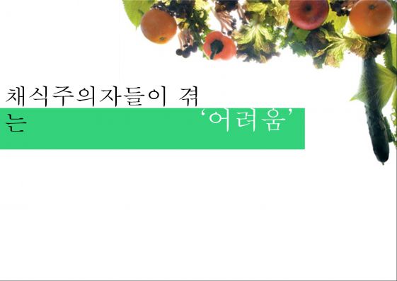 채식주의자-채식식단,우리나라 채식 인구 통계