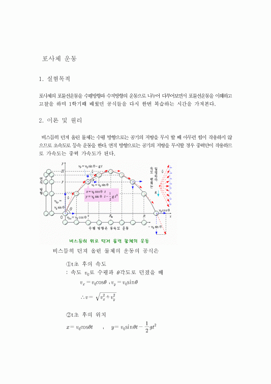 포물체 운동 예비 - 결과 보고서