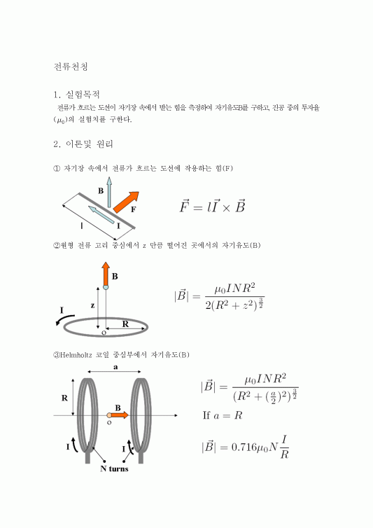 전류천칭 예비- 결과 보고서입니다