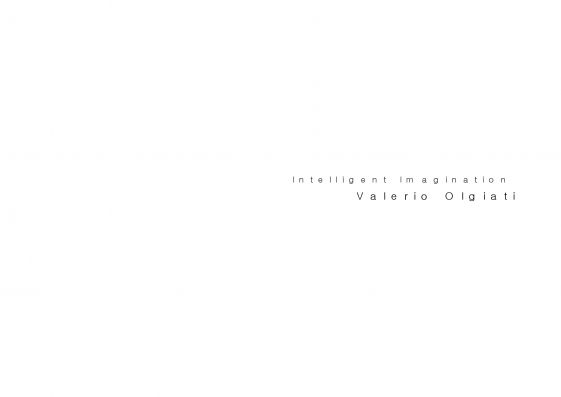 valerio olgiari 레포트 자료