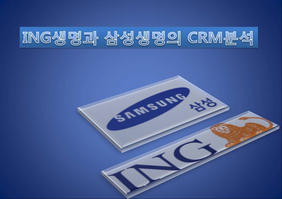 ING생명과 삼성생명의 CRM분석
