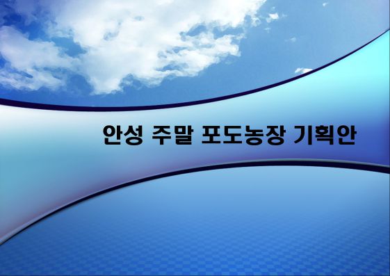 [관광축제론] 안성주말포도농장 기획안