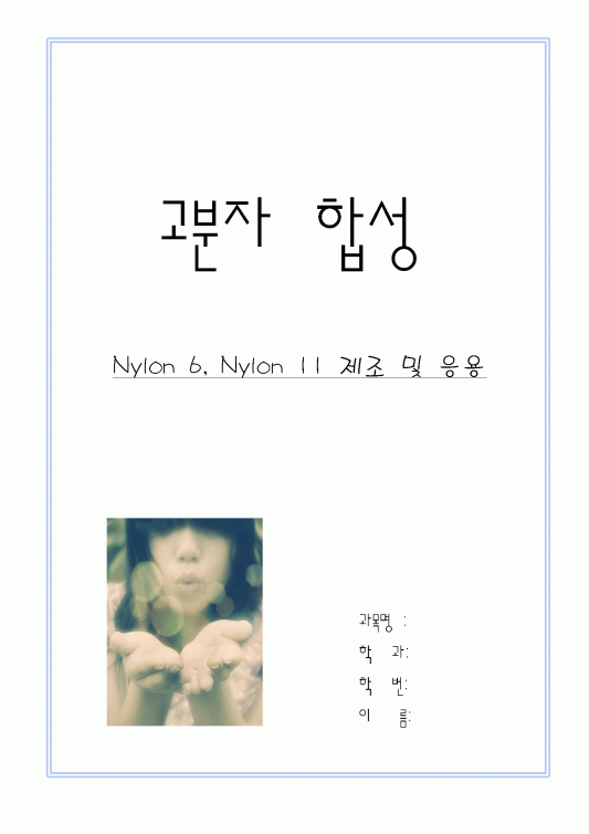 나일론 6,11 제조 및 응용