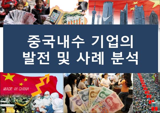 중국내수 기업의 발전 및 사례 분석.pptx