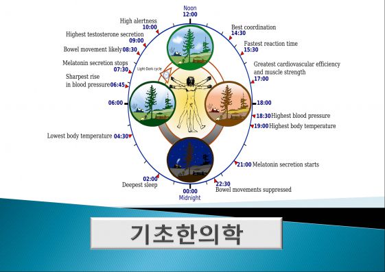 기(氣)와 음양(陰陽) (기초한의학, 기, 음양, 인체구조, 생리기능, 병리변화, 진단과치료, 예방과양생).PPT자료