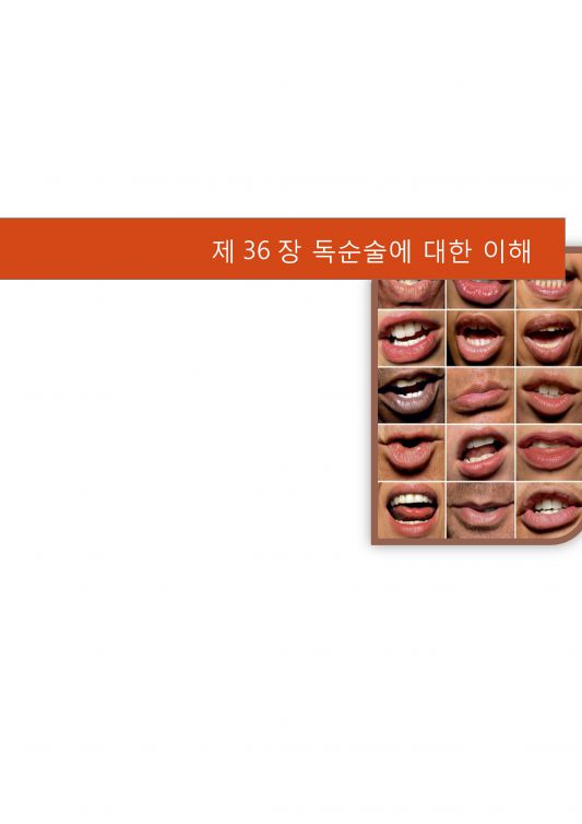 제36장  독순술에 대한 이해