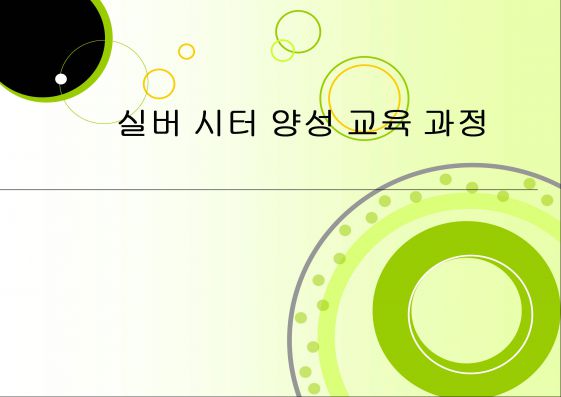 실버시터 양성 교육과정 연구