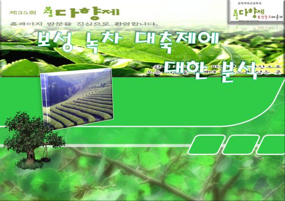 [관광축제론] 보성녹차 대축제에 대한 분석